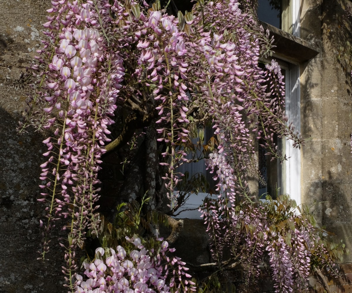 Ivor Gurney, Will Harvey & Herbert Howells – England Remembered